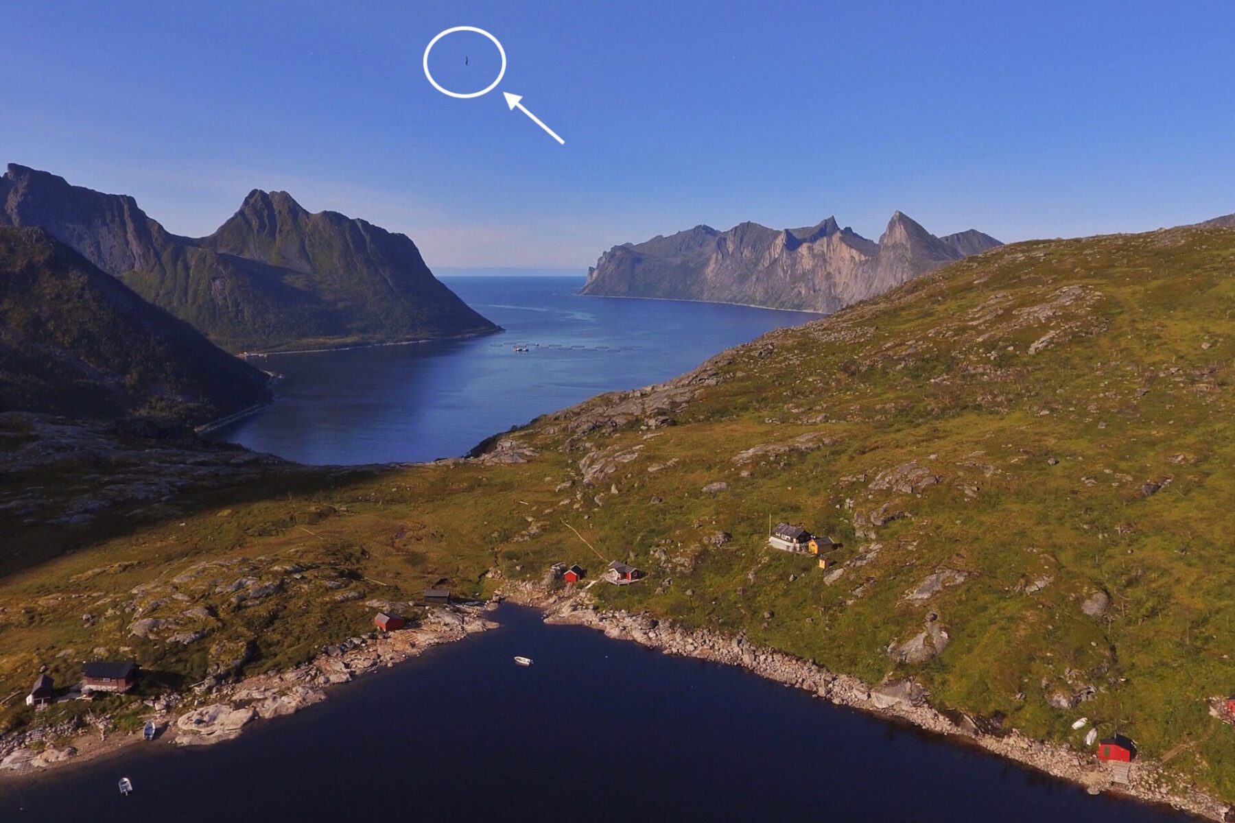 Her Highness: Mia Noblet Sets Yet Another World Highline Record ...
