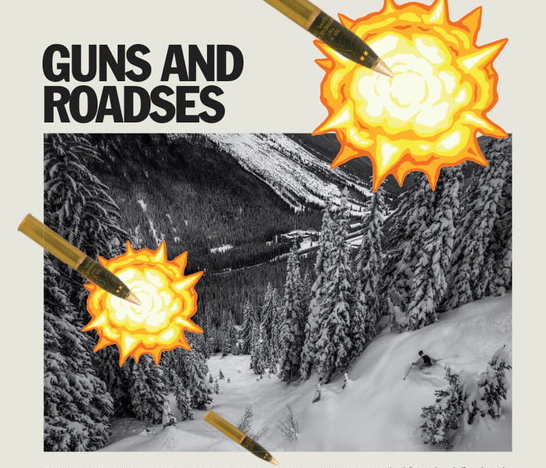 Parts of Rogers Pass Have Closed Due To Poaching - Kootenay Mountain ...